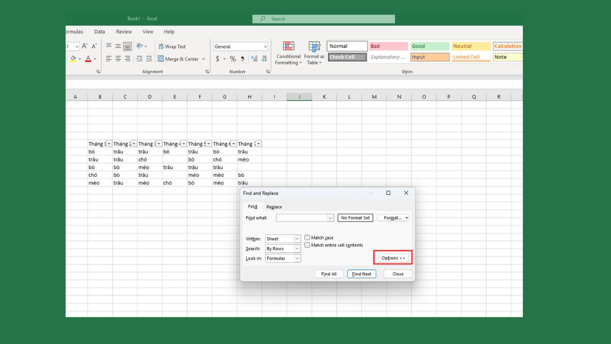 4 cách tìm tên trong Excel cực đơn giản, ai cũng nên biết